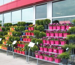 VRE Systems - VRE Systems